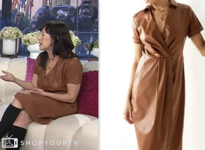 The Today Show: March 2024 Lyz Lenz's Brown Leather Dress | Shop Your TV