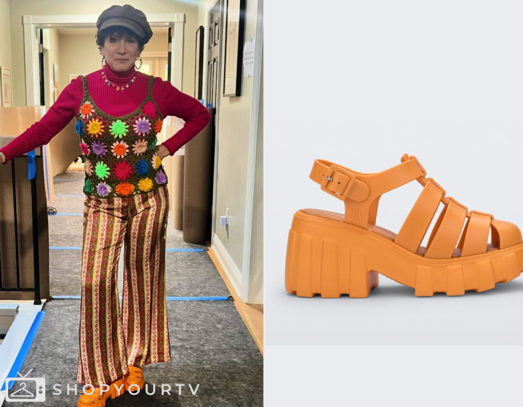 Curb Your Enthusiasm: Season 12 Episode 6 Susie's small Dog Bag | Shop ...