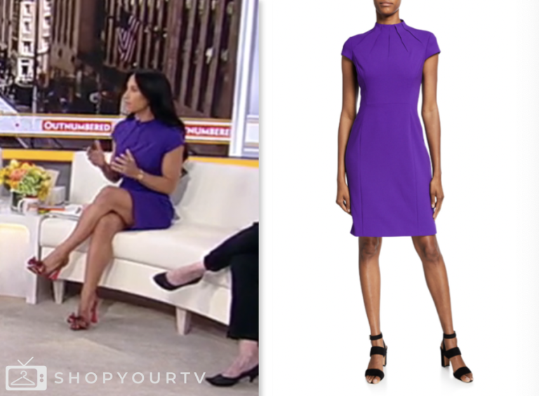 Outnumbered: September 2024 Emily Compagno's Purple Sheath Dress | Shop ...