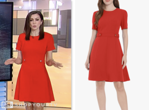 Fox and Friends: November 2024 Chanley Painter's Red Tab Waist Flare ...