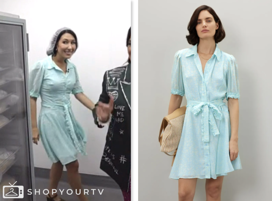 The Today Show: January 2025 Marissa Parra’s Blue Floral Mini Dress ...