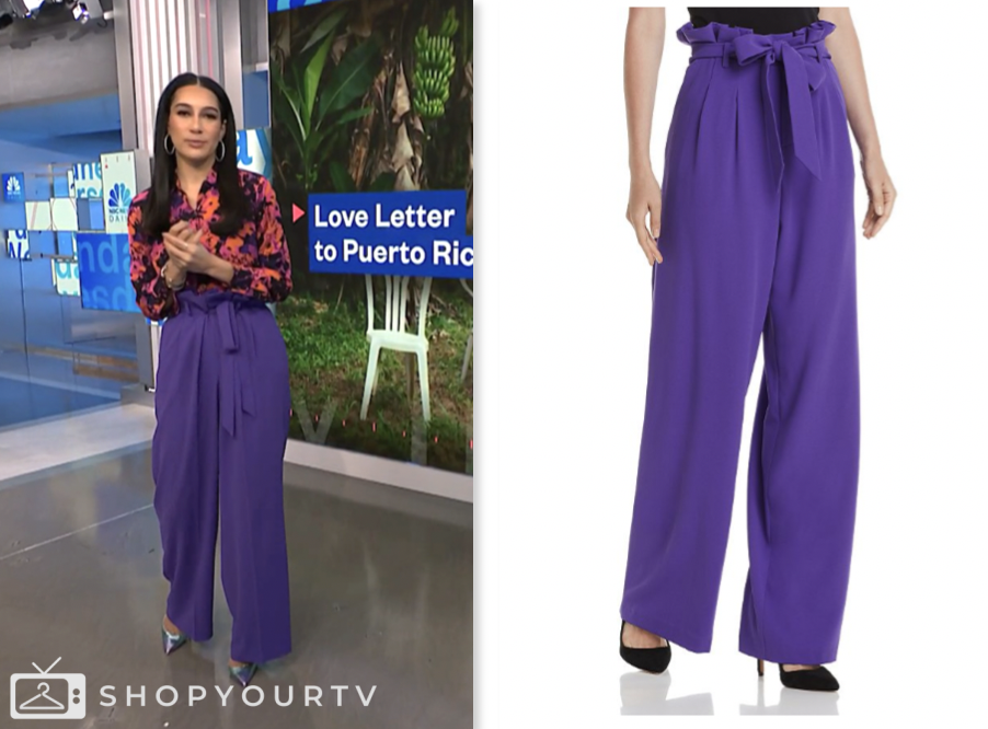 NBC News Daily: January 2025 Morgan Radford’s Purple Paperbag Waist ...