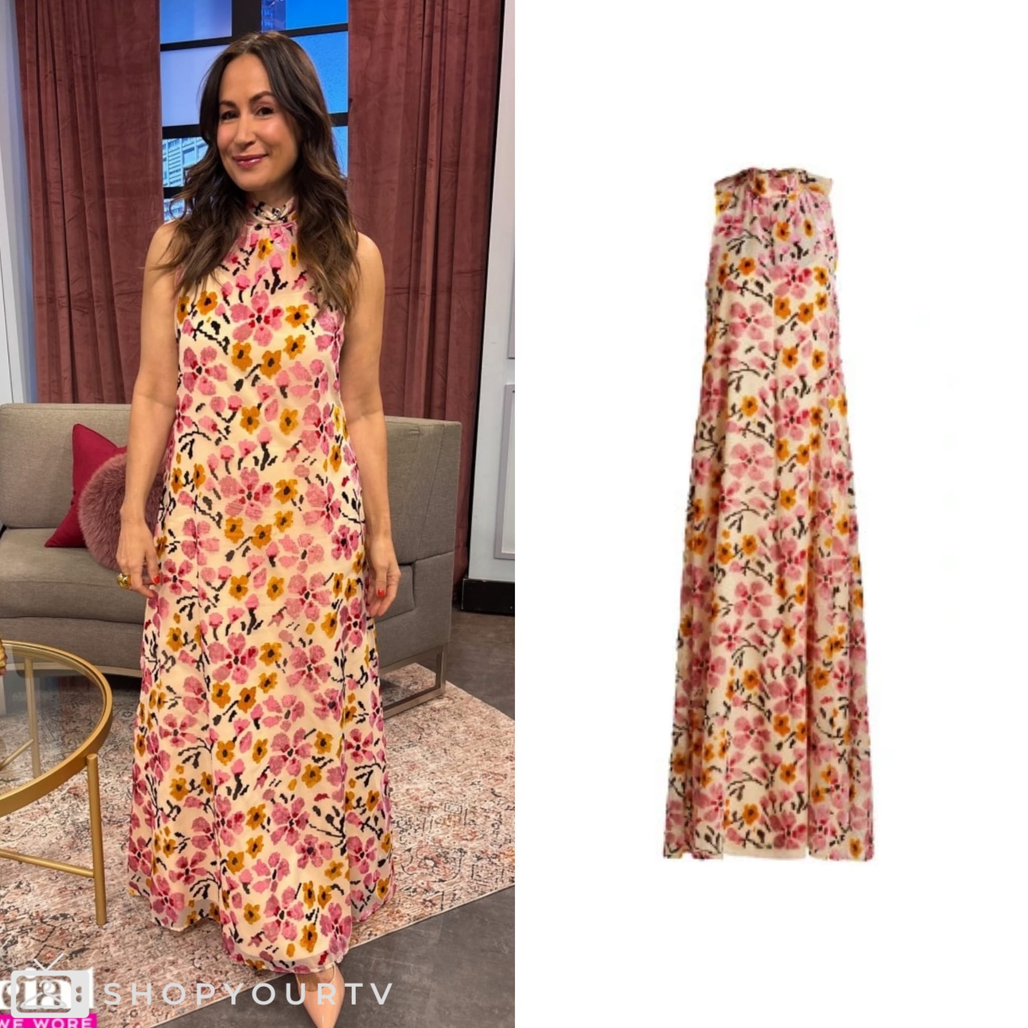 The Social: March 2025 Cynthia’s Floral Embroidered Maxi Dress | Shop ...