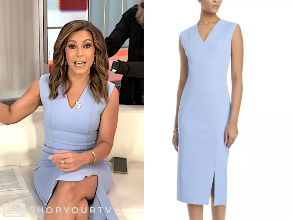 Outnumbered: July 2025 Lisa Boothe's Light Blue V-Neck Sheath Dress ...
