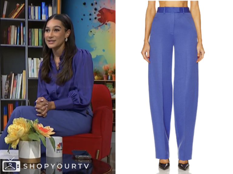 NBC News Daily: September 2025 Morgan Radford’s Blue Purple Tie Neck ...